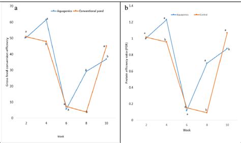 Gross Feed Conversion Efficiency Gfce And Protein Efficiency Ratio Download Scientific