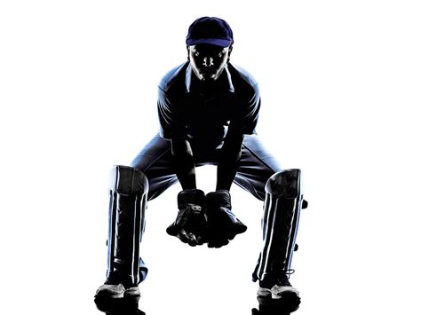 Most Sixes In Ipl History By A Player Cric