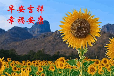 适合周末发早安的图片早安图片带字馨图片早安图片第3页大山谷图库