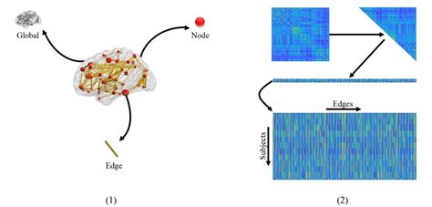 Figure 1 From Modularity Guided Functional Brain Network Analysis For