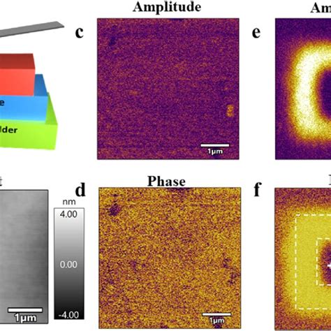 Relaxation Of Electric Field Induced Ferroelectric Polarization In