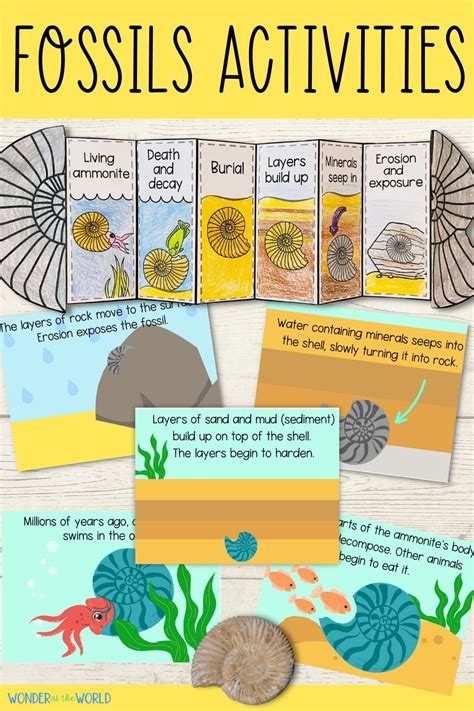 How A Fossil Is Formed Printable Sequencing Cards And Cut And Paste Craft