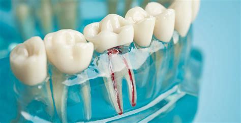 Discover Berwick Victoria Vibrant Living And Amenities