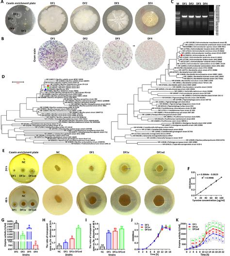 Figure 1 From Assisted Fermentation By A Modified Bacillus Subtilis