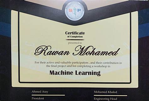 Rawan Mohamed On Linkedin Workshop Experience Machinelearning