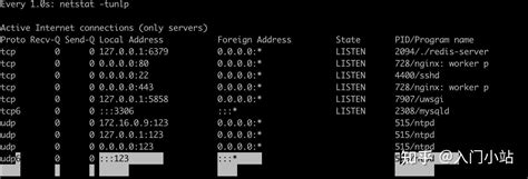 Linux之watch命令 知乎 Linux之watch命令 知乎