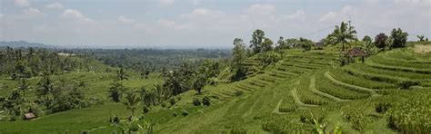 Beste reistijd Bali BM Air Reizen Indonesië Bali