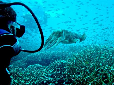 El nuevo turismo con causa Cómo la industria de los viajes está intentando salvar al mundo