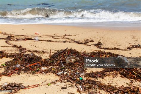 바다 모래 해변의 쓰레기 분류되지 않은 쓰레기 비닐 봉지 유리 병 금속 캔 쓰레기 쓰레기 더미 쓰레기 더러운 바닷물 환경 오염 생태 문제 개념 폐기물 관리 0명에 대한 스톡