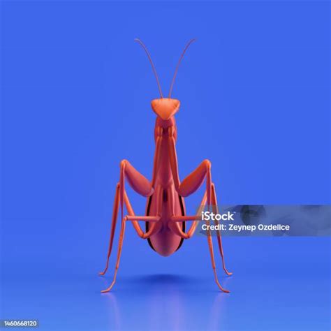 빨간색 플라스틱으로 만든 사마귀 단색 곤충 정면에서 단일 바민트 버그 3d 렌더링 곤충에 대한 스톡 사진 및 기타 이미지