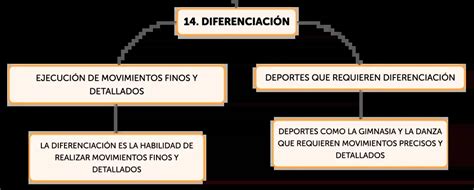 Capacidades Físicas Condicionales Definición Y Tipos Algor Cards