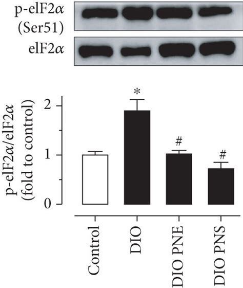 Chronic Pns And Pne Treatments Activate Ampk Enos Pathway And Reduce Er