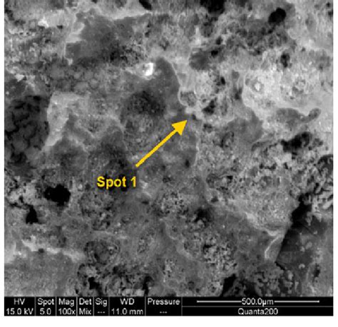 SEM Mix Image Of Ob No 1 Area C 1009 Yellow Coloration Spot 1 Was Download Scientific