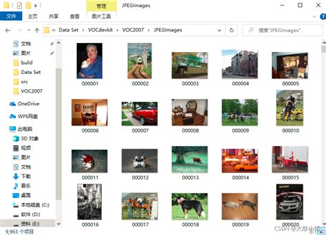 voc2007数据集详细分析 csdn博客