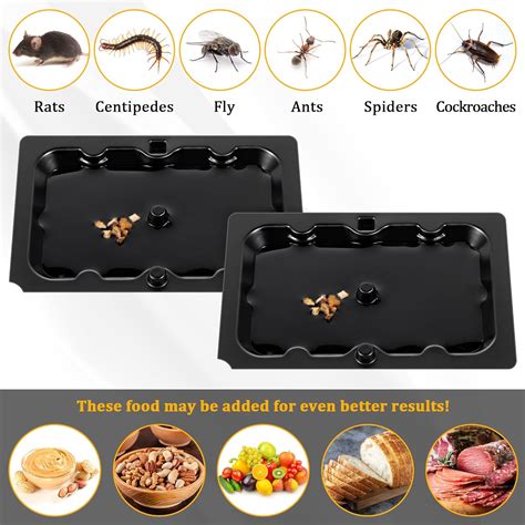 36 Pack Mouse and Insect Glue Traps, Strong Sticky Philippines | Ubuy