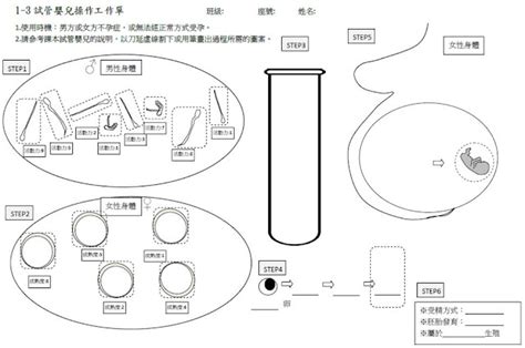 Biotop點子工作室 試管嬰兒操作單