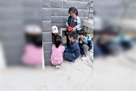 邻居小姐姐跑过来跟我说你被一群人围墙角了，吓得我差点晕过去，过来没想到看到这一幕墙角邻居姐姐