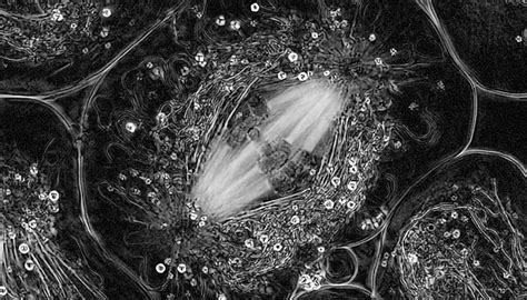 Beyond Extracellular Targets Theoretical Approaches For Engineering