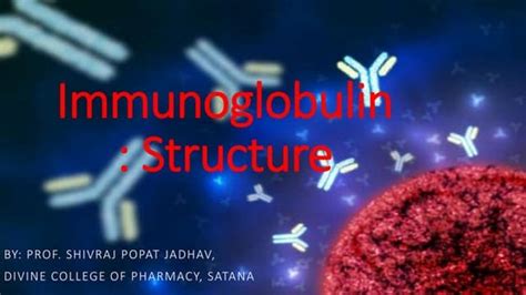 Immunoglobulins Ppt
