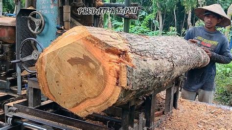SUPER ISTIMEWAKayu Jati Kebun Tua Di Rajang Gergaji Bandsaw Rakitan