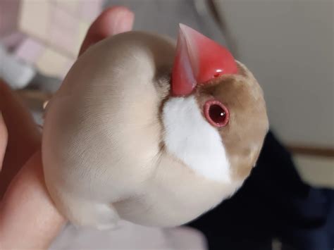 少し目が見えない