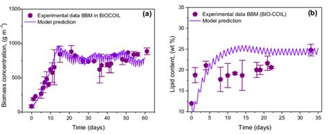 Comparison Between Model Predictions And Experimental Data In Terms Of