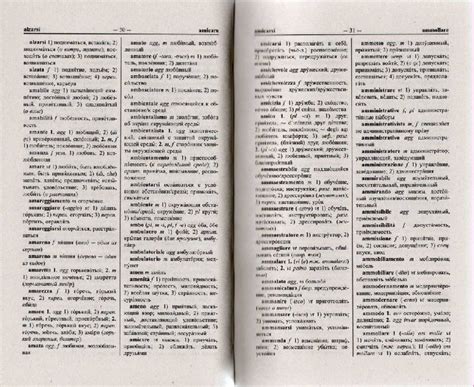 Книга: Новый итальянско-русский и русско-итальянский словарь. 100 000 ...