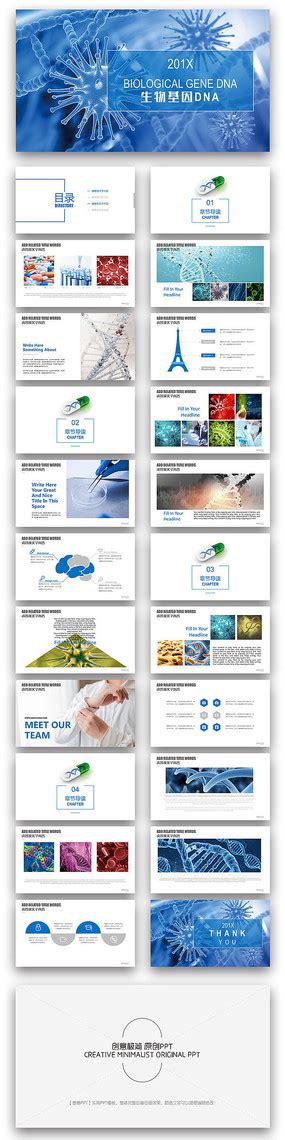 Dna Ppt