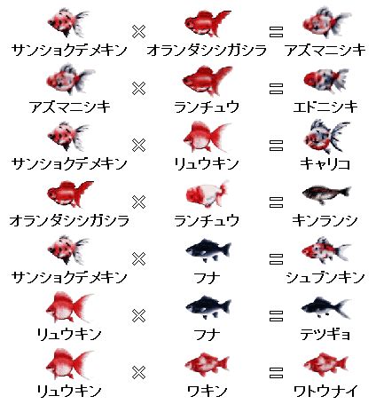 金魚の交配と分類 新高滝観魚園