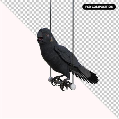 premium psd parrot bird isolated 3d