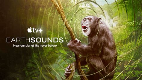 დედამიწის ხმა სეზონი 1 Earthsound Earthsounds 2024