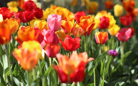 Spring Web Service Response Filtering