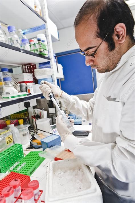 Kinase Profiling Stock Image C0132931 Science Photo Library