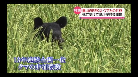 【里山week2023】里山への接近増加 クマとの共生考える News Every Youtube