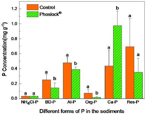 The Contents Of Different Forms Of Phosphorus In The Sediments In The Download Scientific