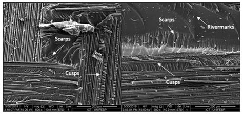 Ndt An Open Access Journal From Mdpi
