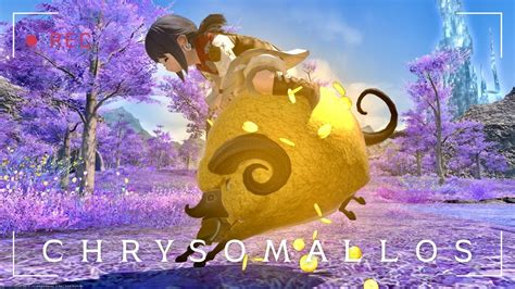ギリシャ神話の黄金の羊？可愛い高額マウント『クリュソマロス』ララフェルver ~final Fantasy Xiv~ Youtube
