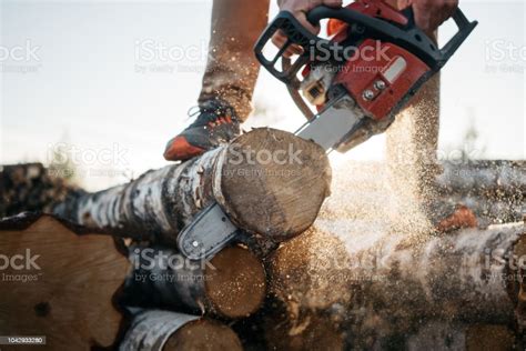 강한 손으로 등심과 전기 톱에 근접 촬영 볼 수 있습니다 전문 Lumberman 절단 나무 수목 재배가에 대한 스톡 사진 및