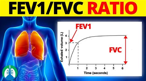 FEV1 FVC Ratio Medical Definition Quick Explainer Video YouTube