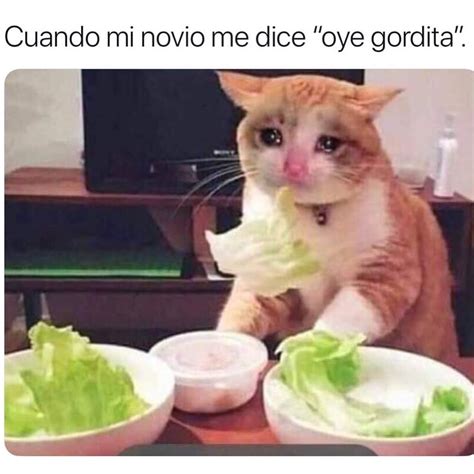 Mis compas No te vayas a ilusionar llevan un día Yo Ya solo faltan