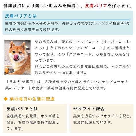 日本犬 柴専用 高齢犬用 チキン味 22kg シニア犬用 柴犬用 総合栄養食 ドッグフード ドライフード 国産 イースター Yeaster