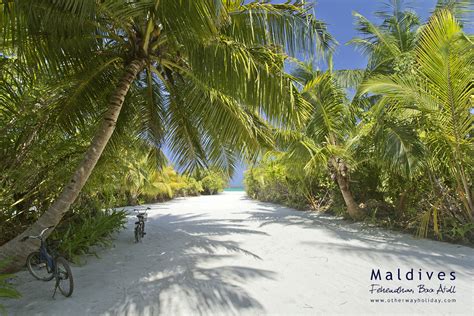 Fehendhoo Na Baa Atolu Maledivy Other Way Holiday
