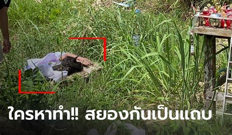 ขนหัวลุกทั้งซอย เจอศพนอนตายข้างศาล แขน ขากระจุย ตร มาตรวจตะลึง ที่แท้แค่ หุ่น
