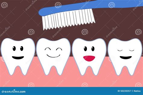 Teeth Cleaning Stock Vector Illustration Of Dental Happy 50220357