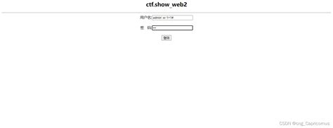 ctfshow web2 ctf show web2 csdn博客