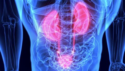 Pathology Archives Healthed