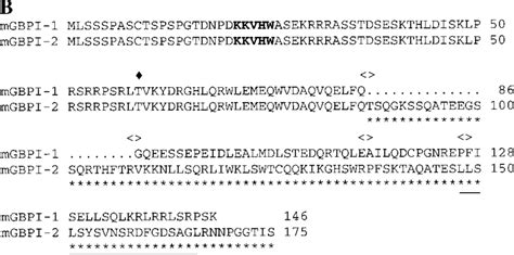 Amino Acid Sequence Alignments A Human Mouse And Rat Gbpi 1 Peptide