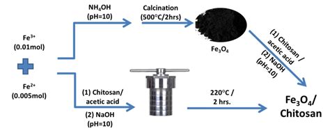 A Single Rapid Route Synthesis Of Magnetite Chitosan Nanocomposite Download Scientific