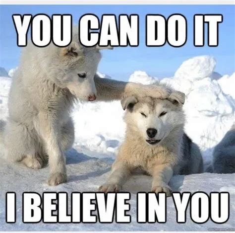 55 Best Encouraging Meme To Motivate You Tiny Inspire