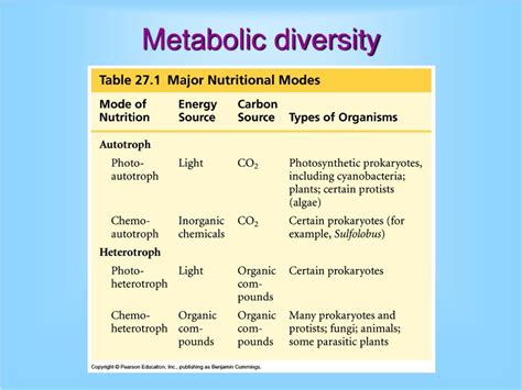 Diversity Of Microbial Metabolism